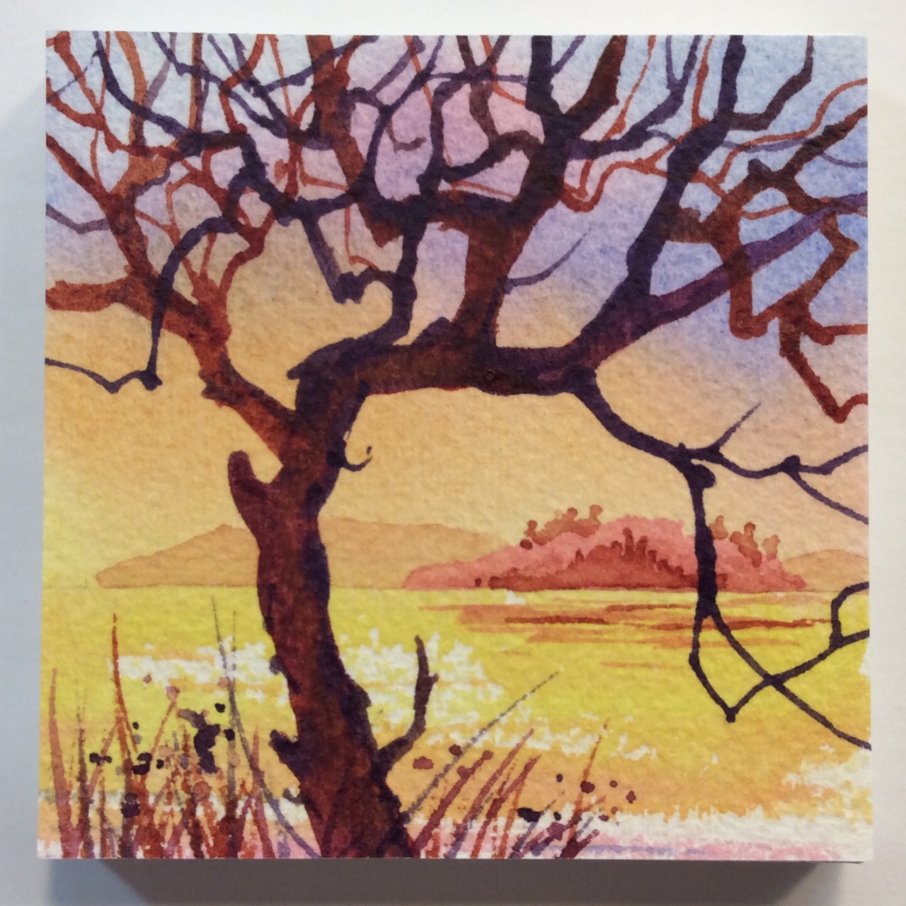 Miniature Original Watercolour Paintings — Susan Little Watercolour ...